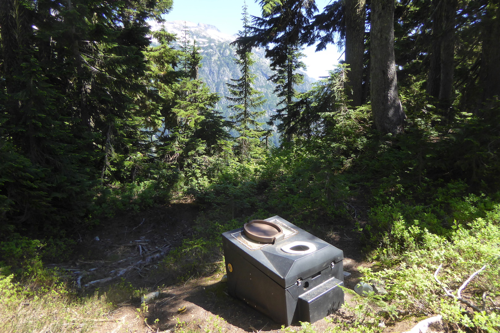 If you poop in the woods, does a ranger clean it up? | Wandering at Large